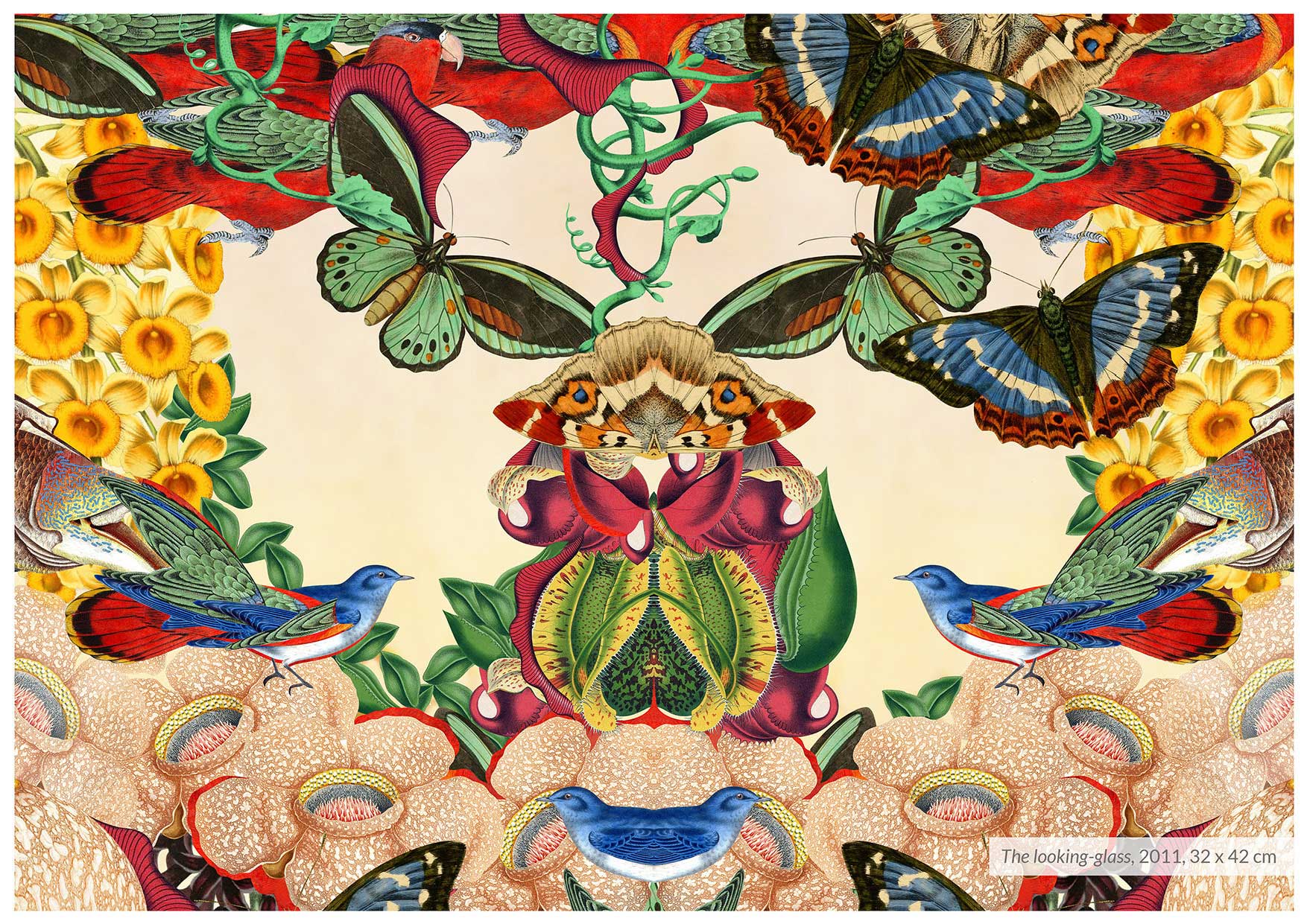 Bozka – Ampersand Globe