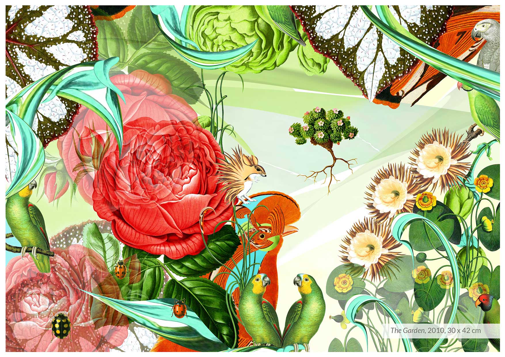 Bozka – Ampersand Globe