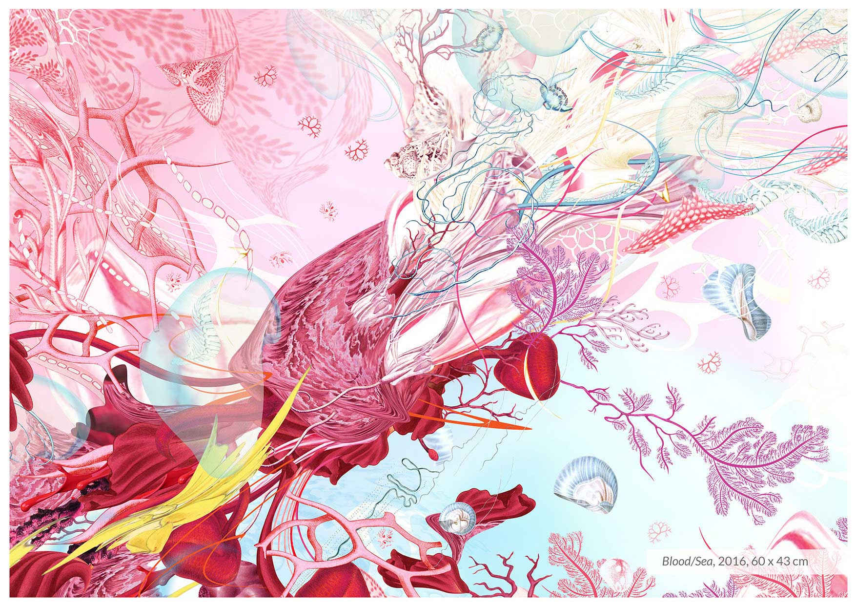 Bozka – Ampersand Globe