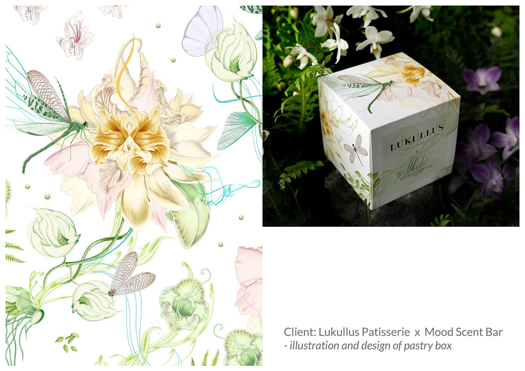 Bozka – Ampersand Globe